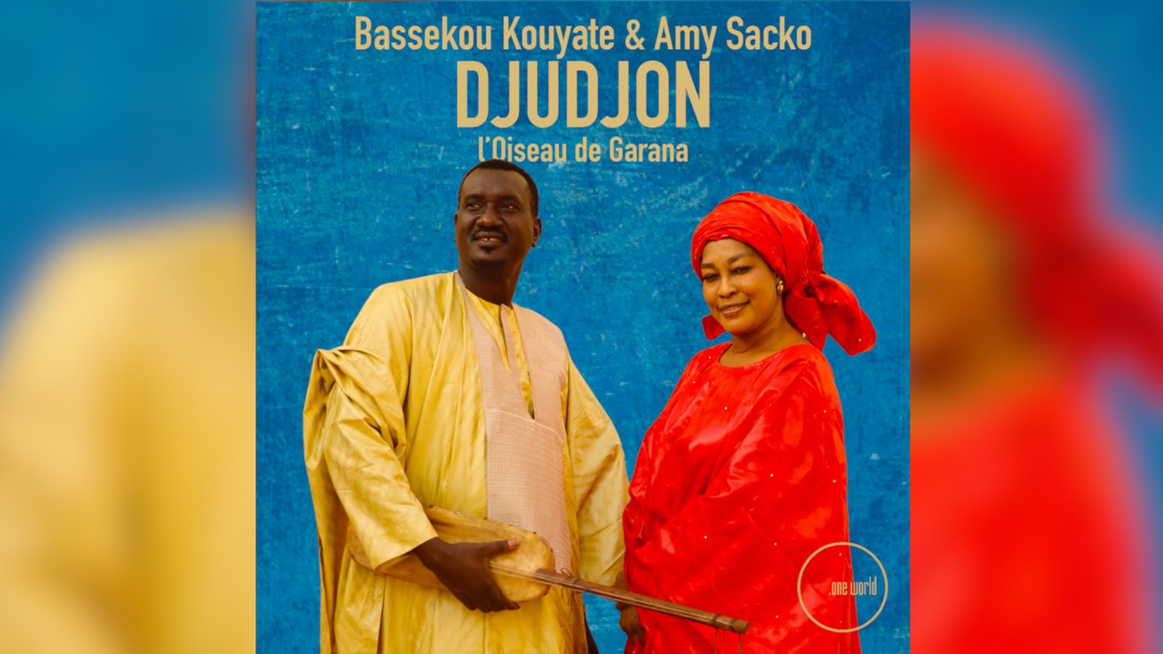 Bassekou Kouyaté et Amy Sacko, premier album d'un couple virtuose - Invité culture